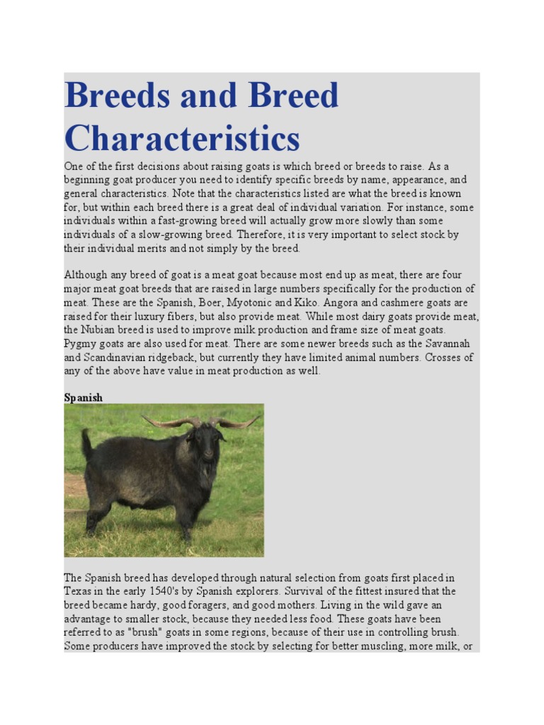 Beginner's Guide to Goat Breeds | PDF | Goat | Domestication