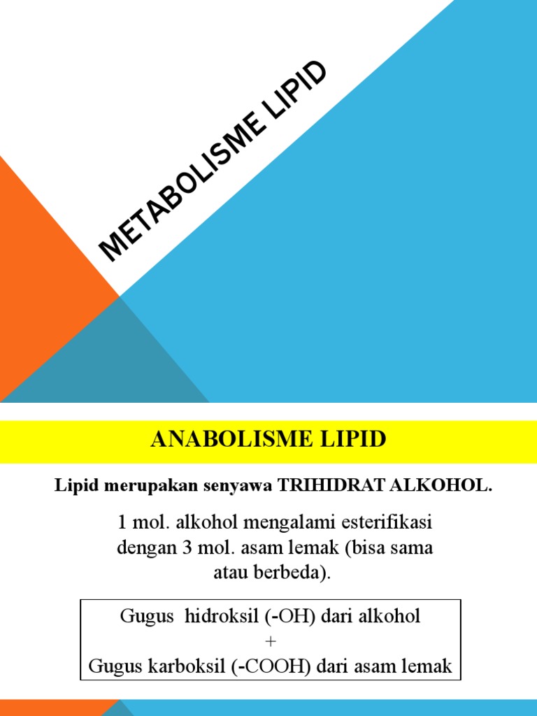 7 Metabolisme LIPID | PDF