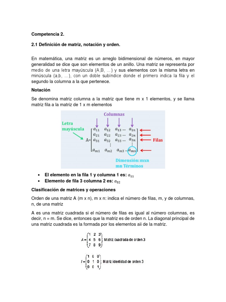 2.1 Definición de Matriz, Notación y Orden | PDF