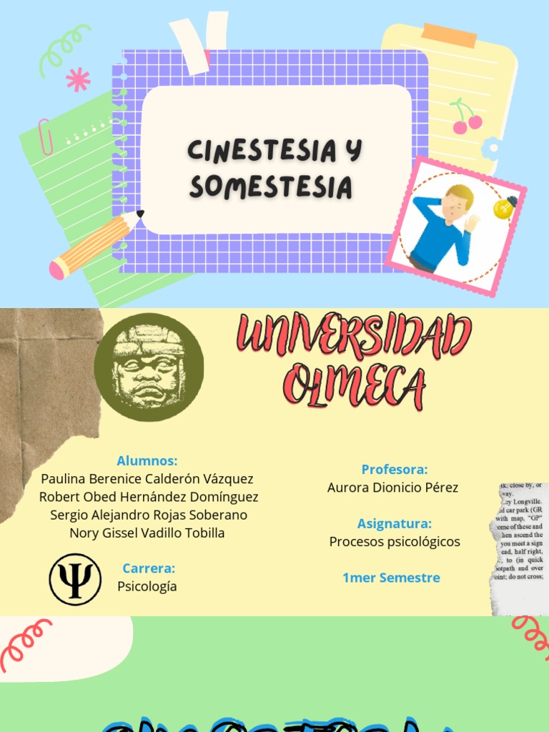 Cinestesia y Somestesia | PDF | Sistema nervioso | Órgano (anatomía)