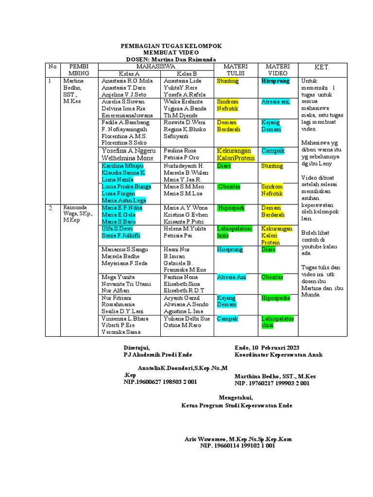 Video Pembagian Tugas Kelompok | PDF