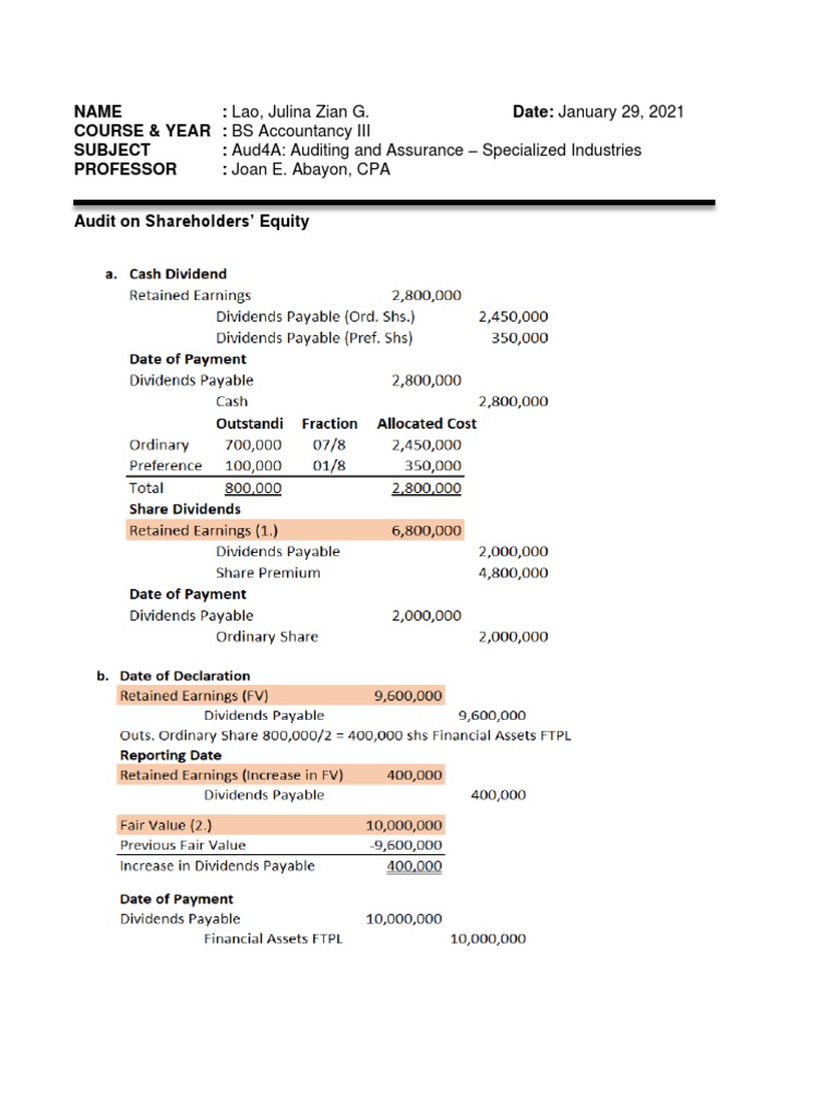 Audit Report on Shareholders' Equity | PDF