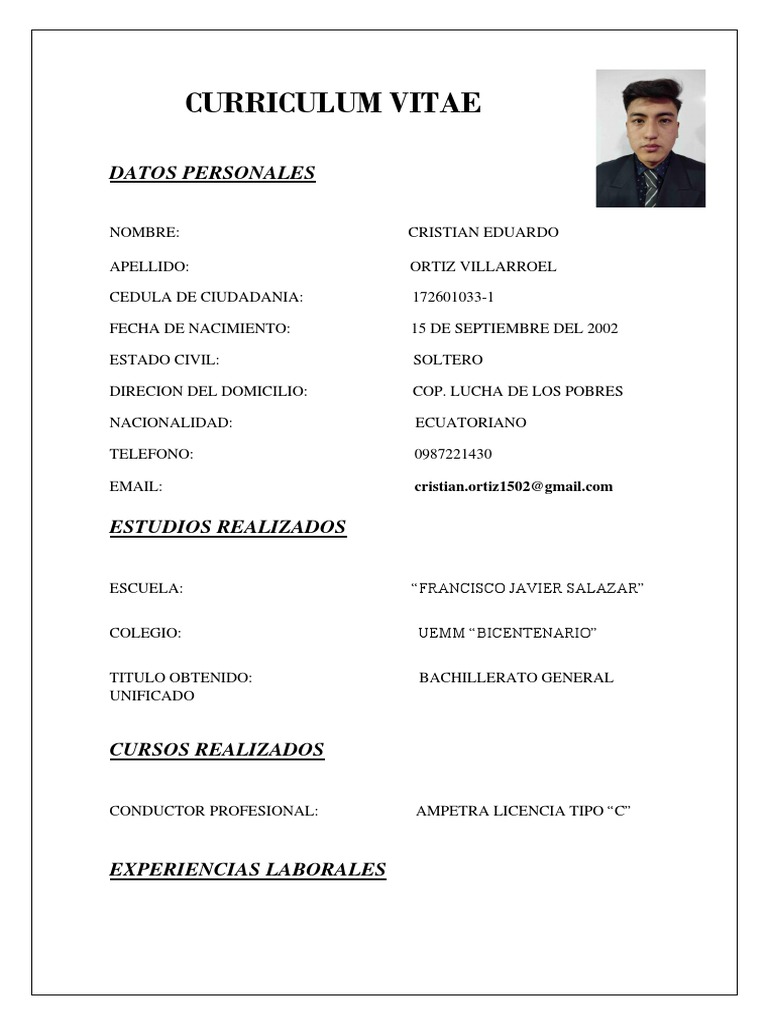 Curriculum Vitae Cristian o | PDF