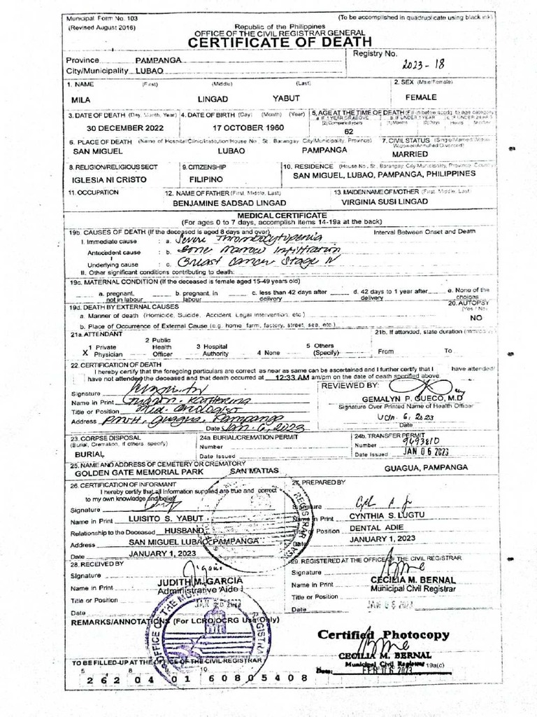 Death Cert PDF | PDF
