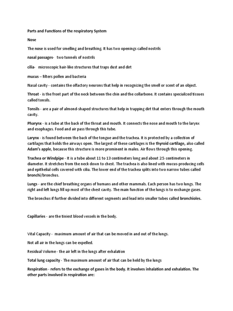 Science Reviewer Grade 6 | PDF | Lung | Respiratory System