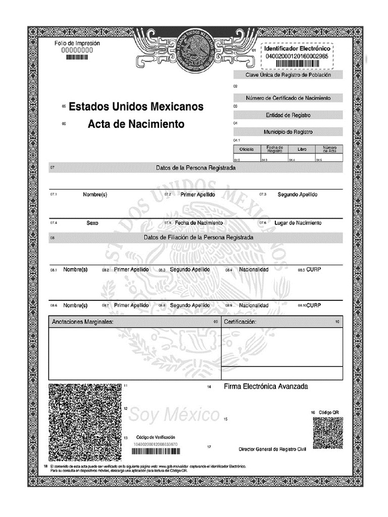 Acta de Nacimiento para Llenar | PDF