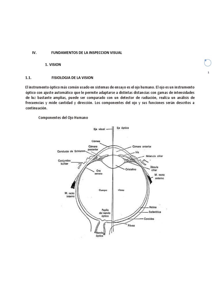 Modulo 3 Fundamentos | PDF | Ojo humano | Ligero