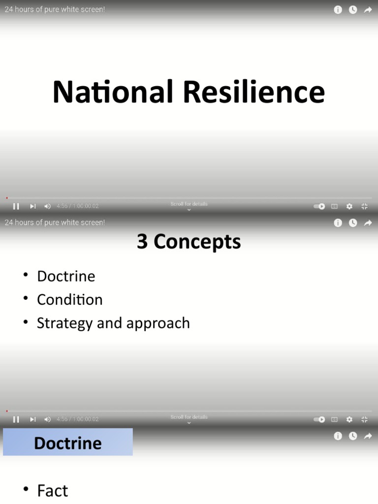 National Resilience Pdf 