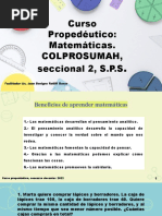 Formato Tabulacion-Pruebas-Diagnosticas-Espanol-y-Matematicas | PDF