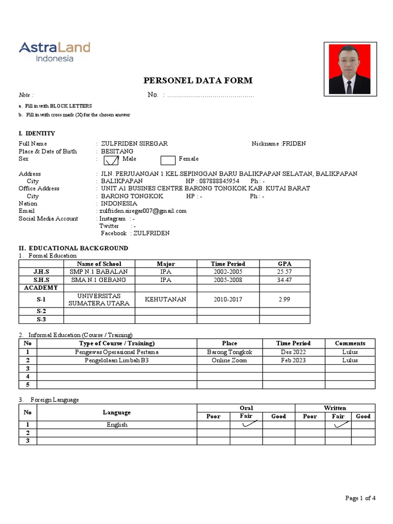 Application Data Form Experience ALI | PDF