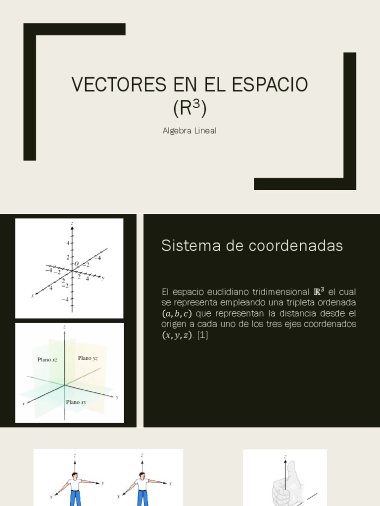 Vectores en El Espacio 1 | PDF | Vector Euclidiano | Escalar (Matemáticas)