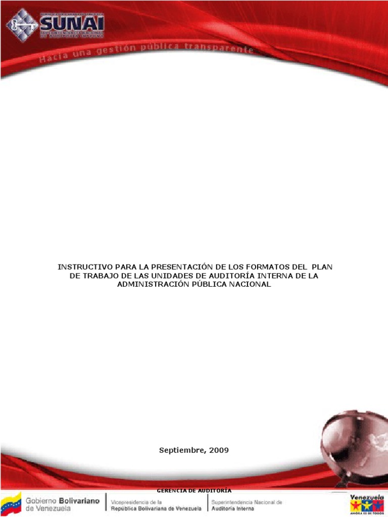 Instructivo Sunai | PDF | Auditoría