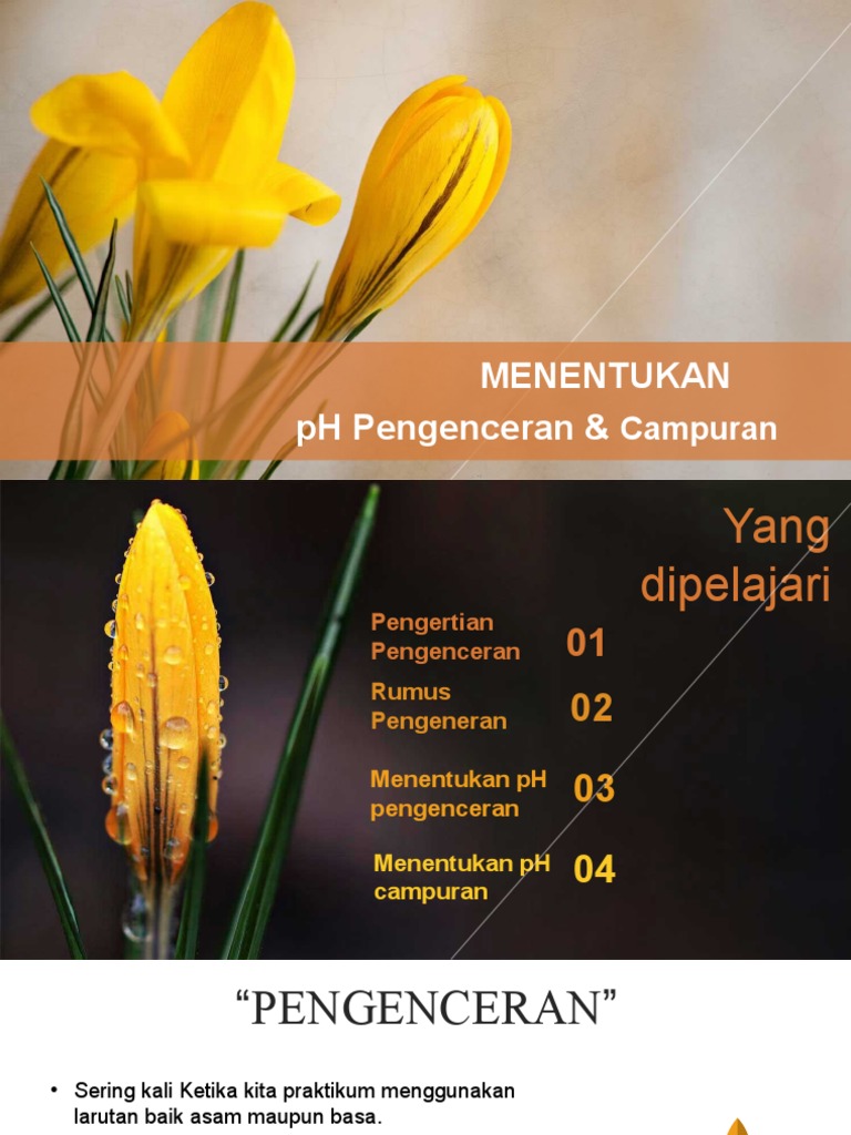 PH Pengenceran | PDF