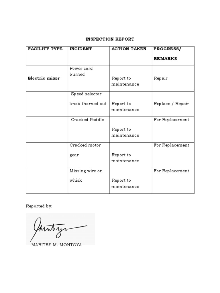 Mmm-Mtf-Inspection Report | PDF