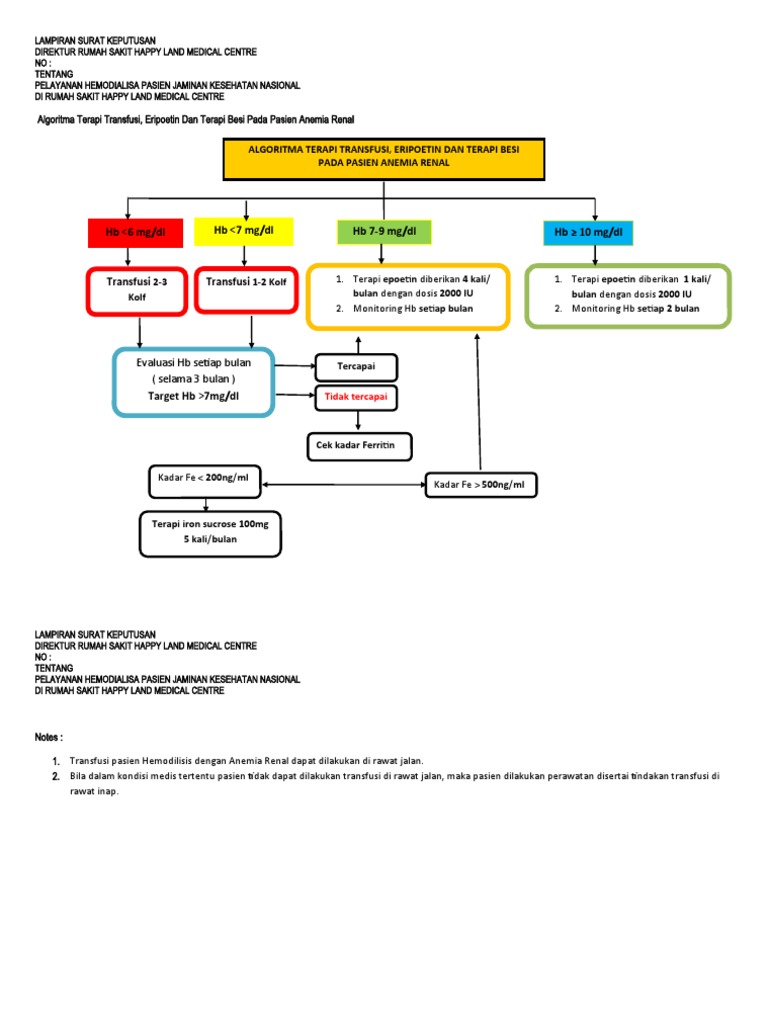 SK Lampiran Pelay HD Pasien JKN Algoritma Terapi Epo Bpjs Revisi | PDF