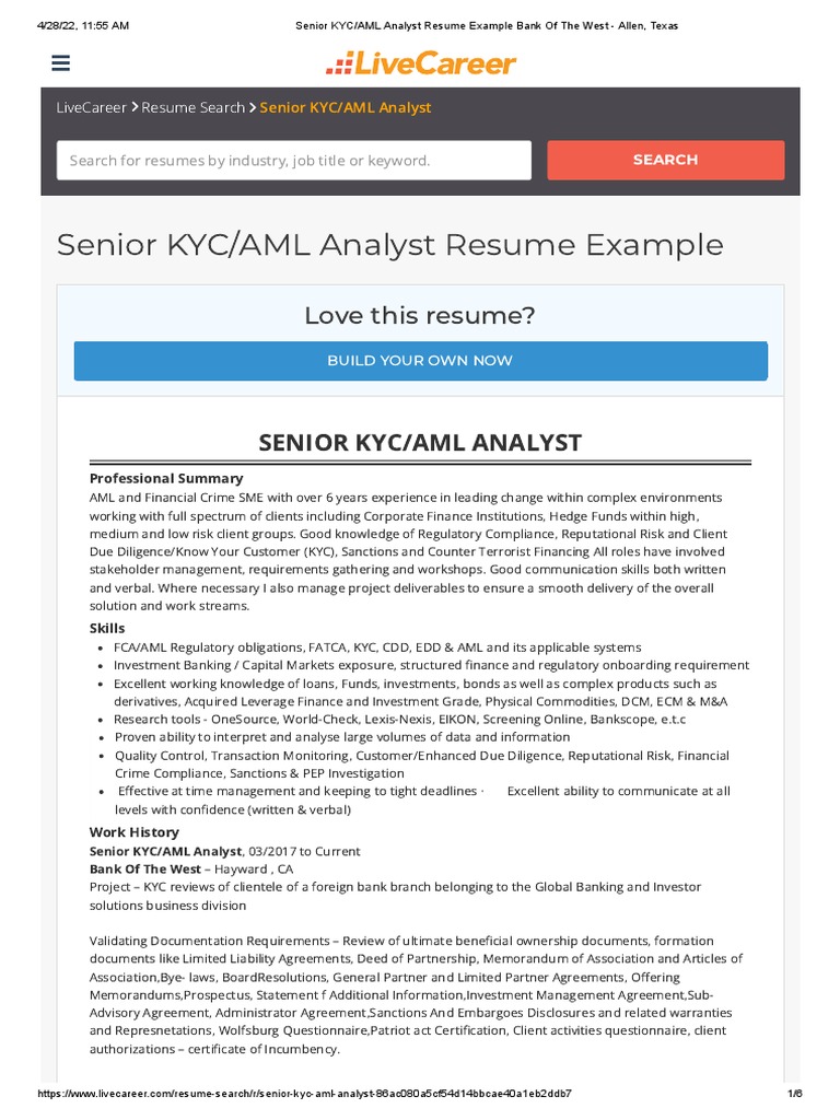 Senior KYC/AML Analyst Resume Example | PDF | Money Laundering ...