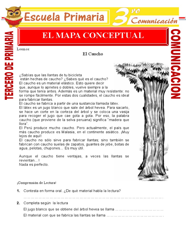 El Mapa Conceptual para Tercero de Primaria | PDF