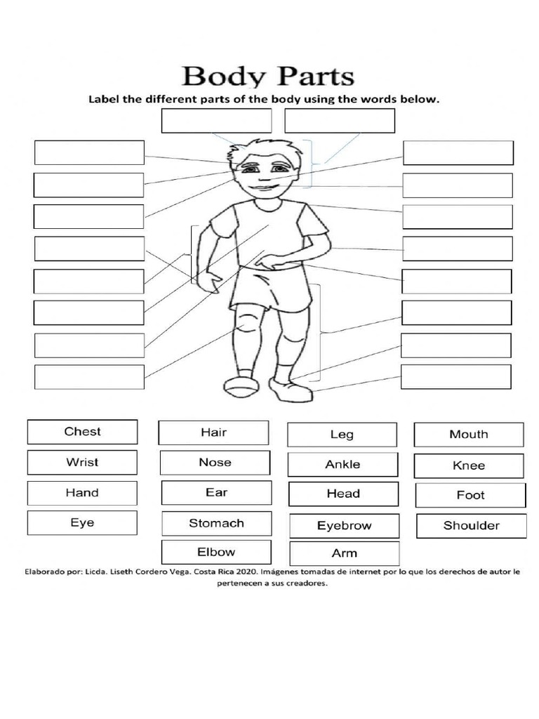 Soal Kelas 3 - Parts of Body | PDF