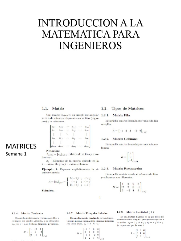 Introducción a las matrices y sus aplicaciones fundamentales en ...