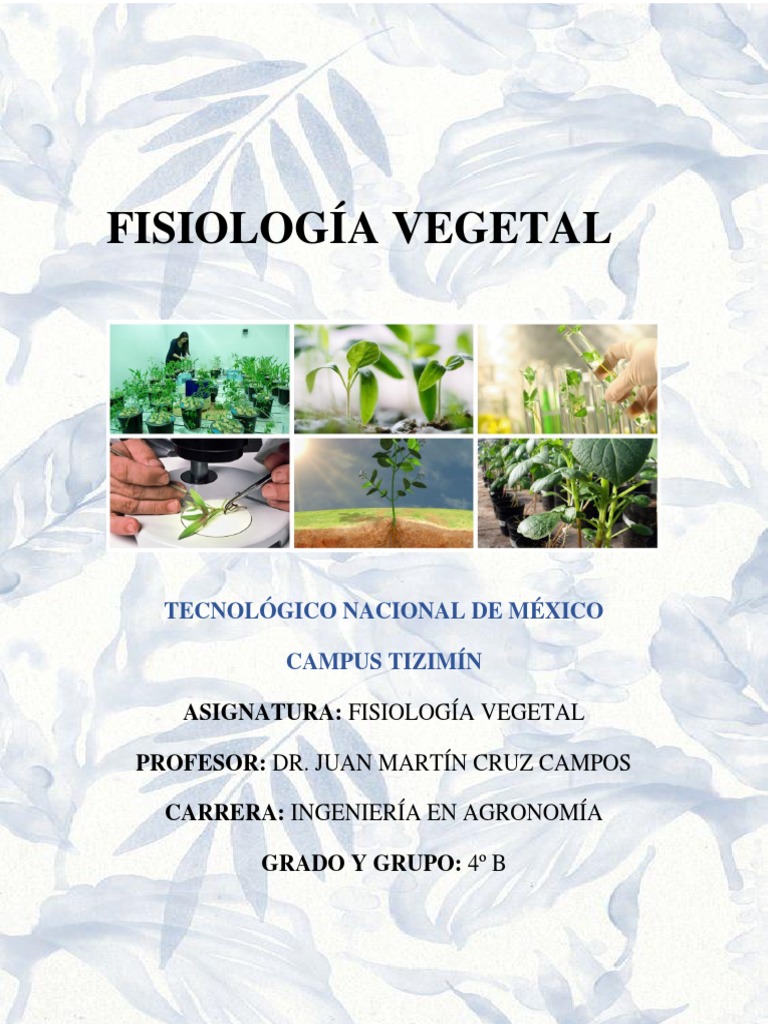 Equipo 3 Tarea 2 4b Agronomía Unidad 1 Fisiología Vegetal 085131 | PDF ...