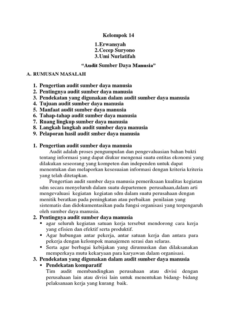 Audit SDM Kelompok 14 | PDF | Bisnis