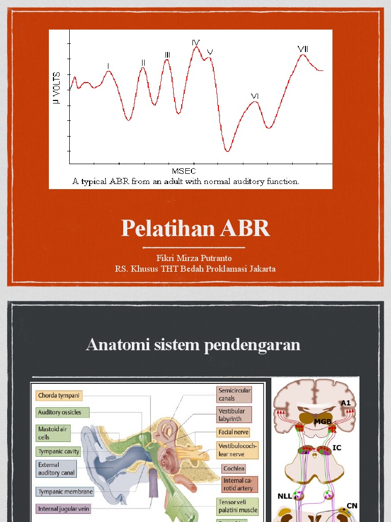 Pelatihan BERA ASSR Natus (Autosaved) | PDF