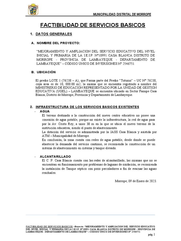 INFORME Factibilidad de Servicio | PDF