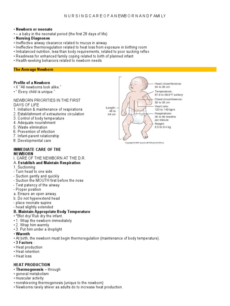 3 Newborn Care | PDF | Heat Transfer | Thermoregulation