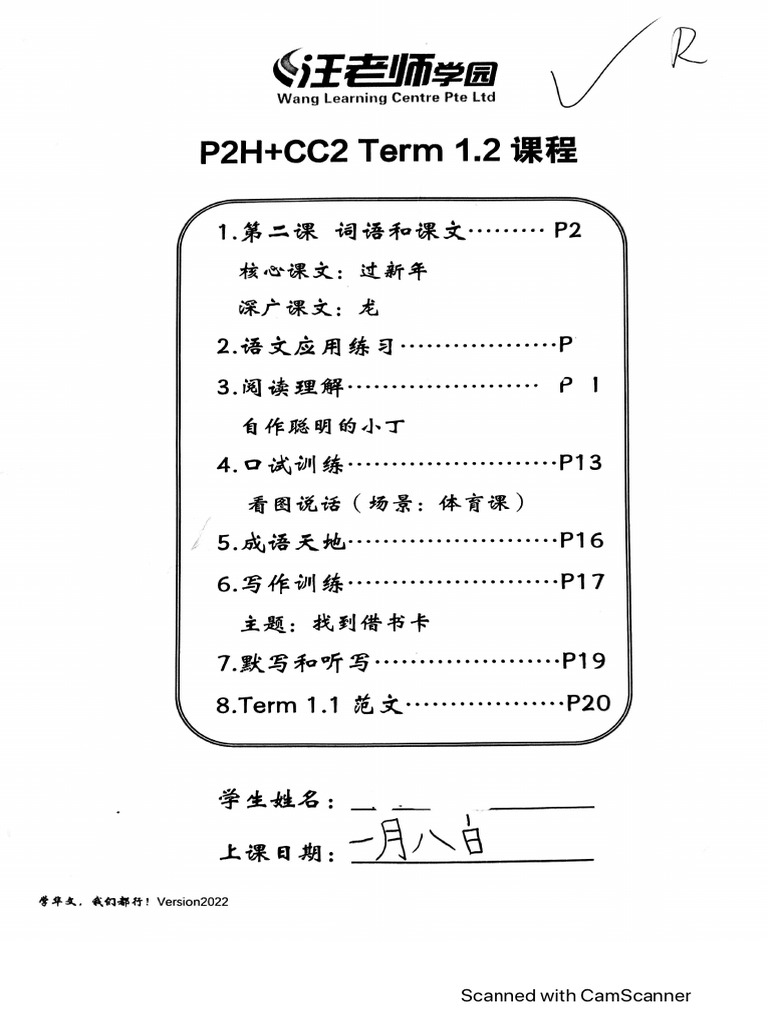 Singapore Chinese Primary 2 Exercise With Answers | PDF
