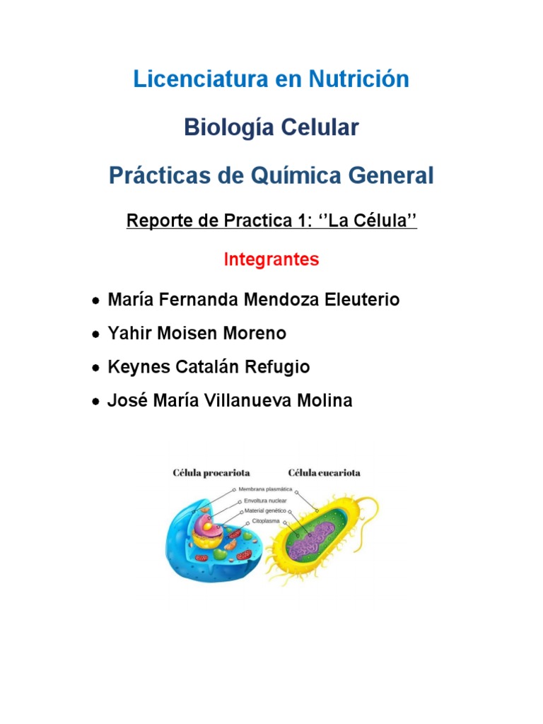 Practica La Celula | PDF | Biología Celular) | Organismos