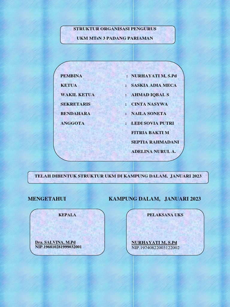 STRUKTUR Organisasi Pengurus UKS | PDF