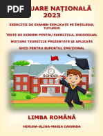 Model Scutire de Mana | PDF