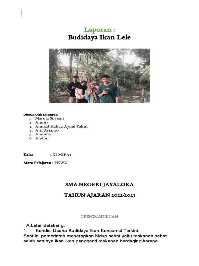 Budidaya Lele | PDF