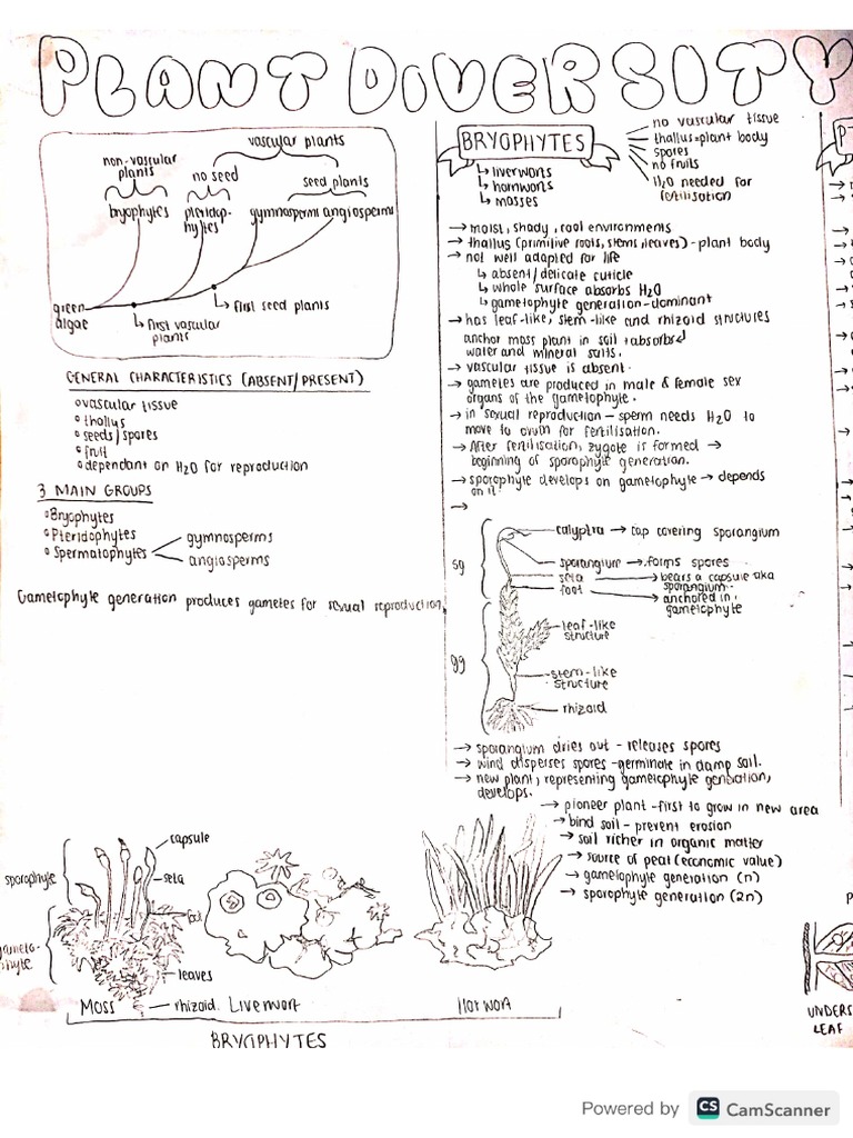 Reproduction and Structure of A Flower | PDF