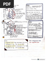 Endocrine System Grade 12 Notes | PDF
