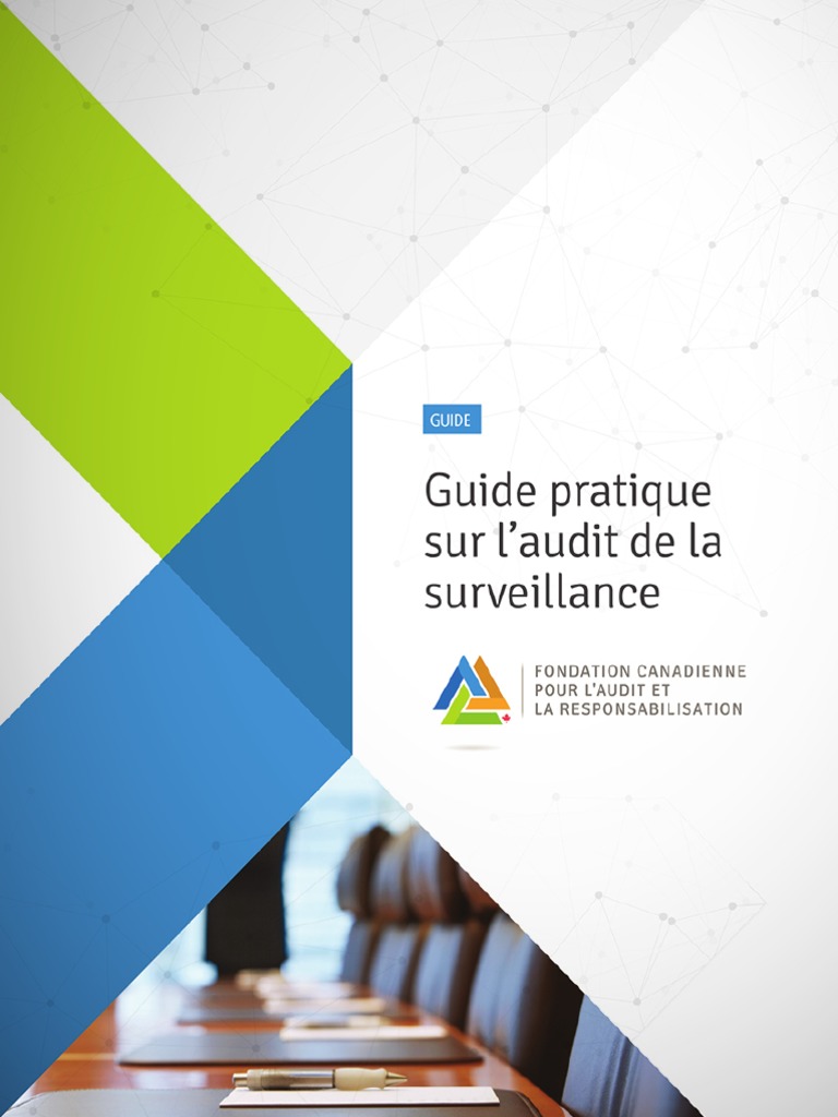 Guide Pratique Sur Audit de La Surveillance | PDF | Audit | Gouvernance