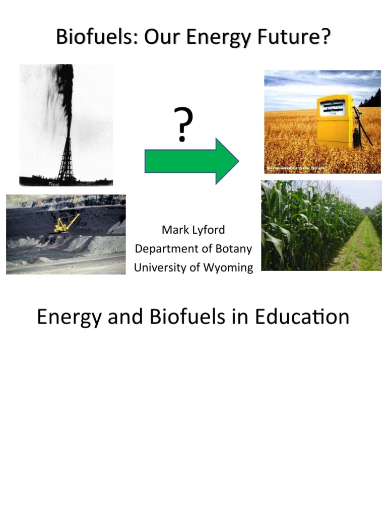 Biofuels and Energy Education Insights | PDF | Biofuel | Fuels
