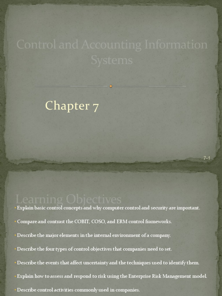 Chapter 7 | PDF | Internal Control | Risk