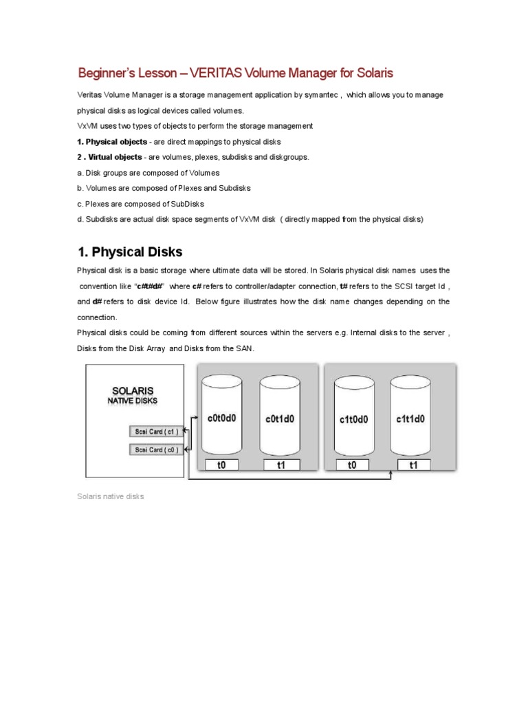Veritas Volume Manager Beginner | PDF | Disk Storage | File System
