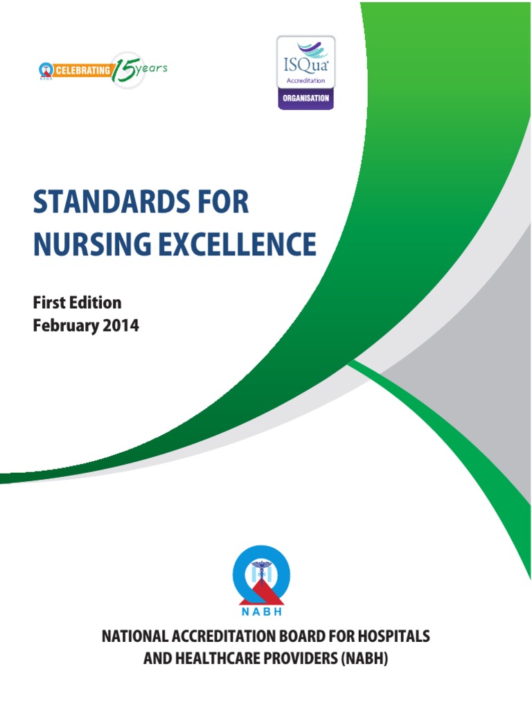 Nursing Excellence Standards Pdf Nursing Patient Safety