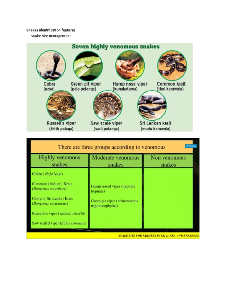 Snakes Identification Features | PDF | Diseases And Disorders | Causes ...