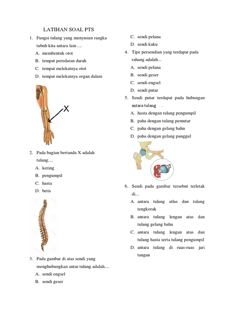 Latihan Soal Pts Ganjil 2022-2023 Kls 8 | PDF
