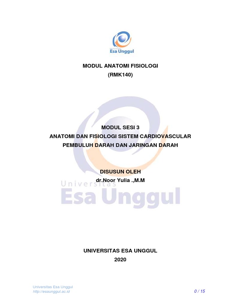 Modul Sesi 3 RMK140 Anatomi Fisiologi | PDF