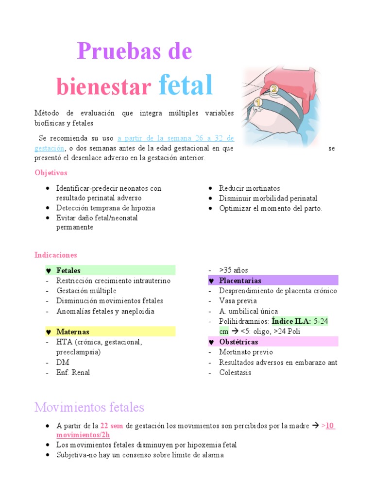 Pruebas de Bienestar Fetal | PDF | Feto | El embarazo