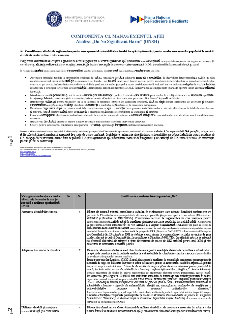 C1. Analiza DNSH | PDF
