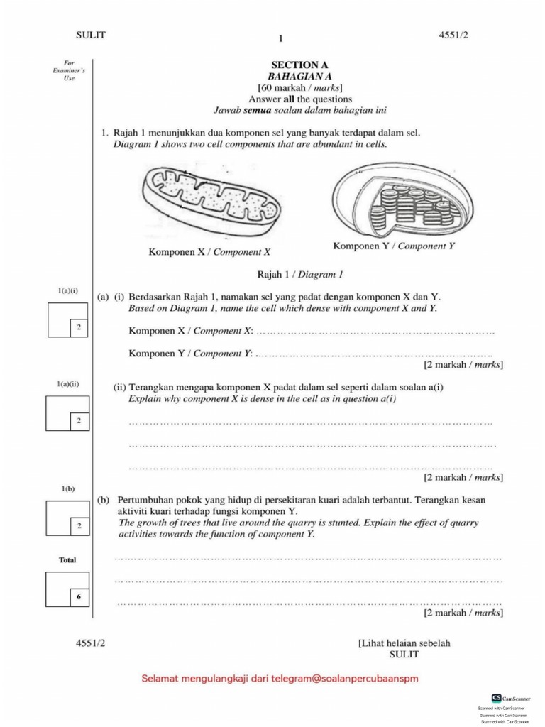 F4 Biology Paper 2 2022 | PDF
