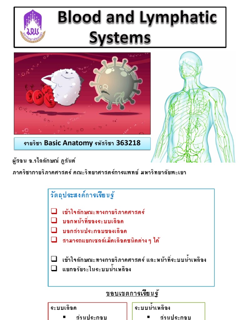 Blood and Lymphatic Systems - Lecture 1-2563 363218 | PDF