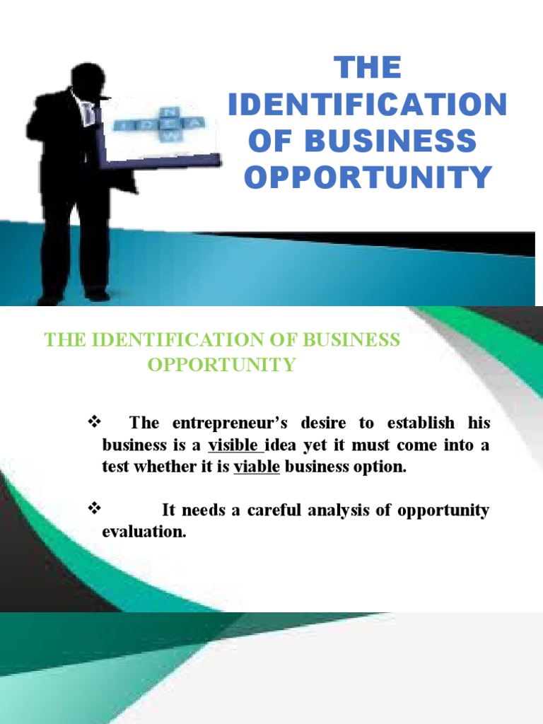 Guidelines for Identifying Business Opportunities and Evaluating ...