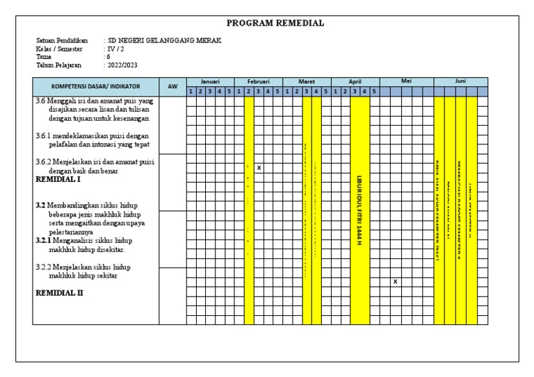 Program Remedial | PDF