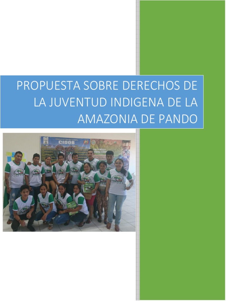 Propuesta de La Juventud Indigena de La Amazonia de Pando | PDF ...
